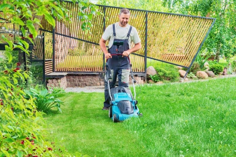 29 Best Side Hustles You Can Start With No Money